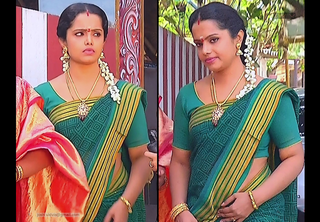 Sudha_Tamil TV Actress_05_Saree Photos – indiancelebblog.com