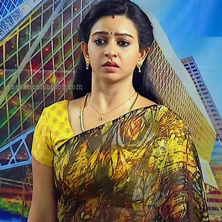 Divya ganesh tamil tv actress sumangali S6 5 saree pics – indiancelebblog