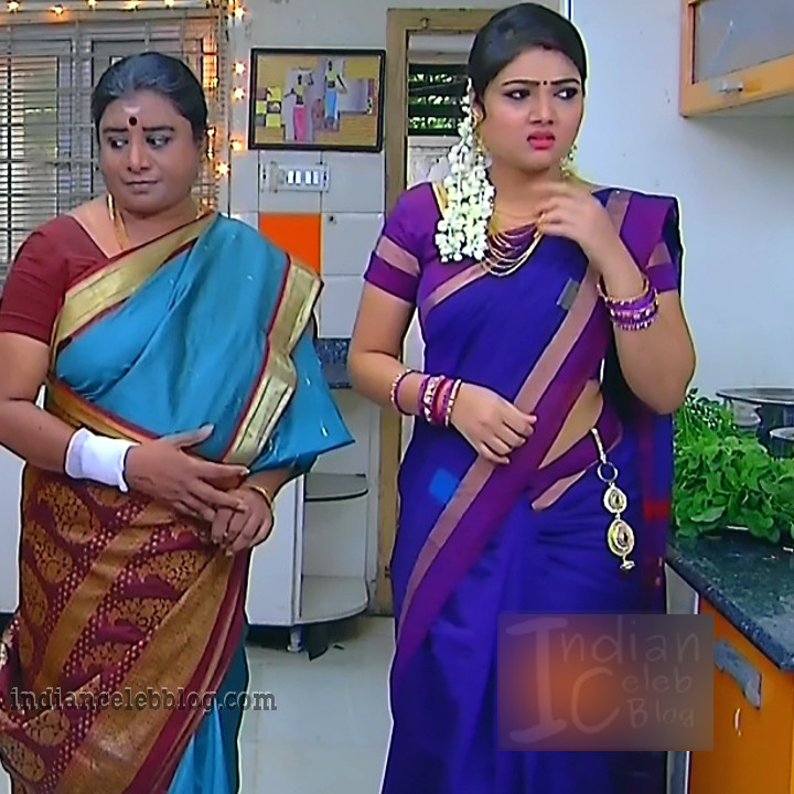 Priyanka nalkari roja serial actress S2 7 saree pic – indiancelebblog