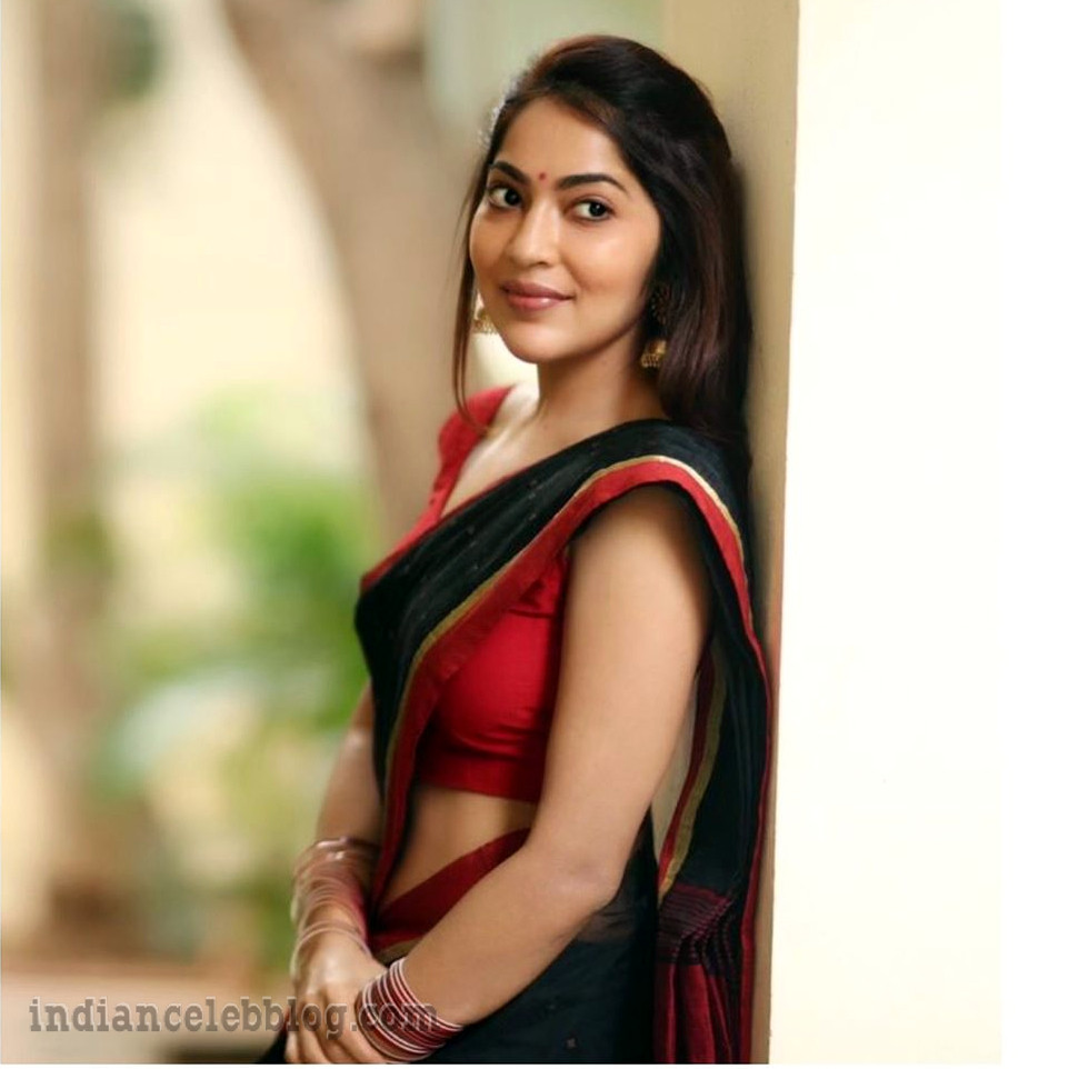 Ramya subramanian tamil tv anchor CTS2 23 saree pic – indiancelebblog