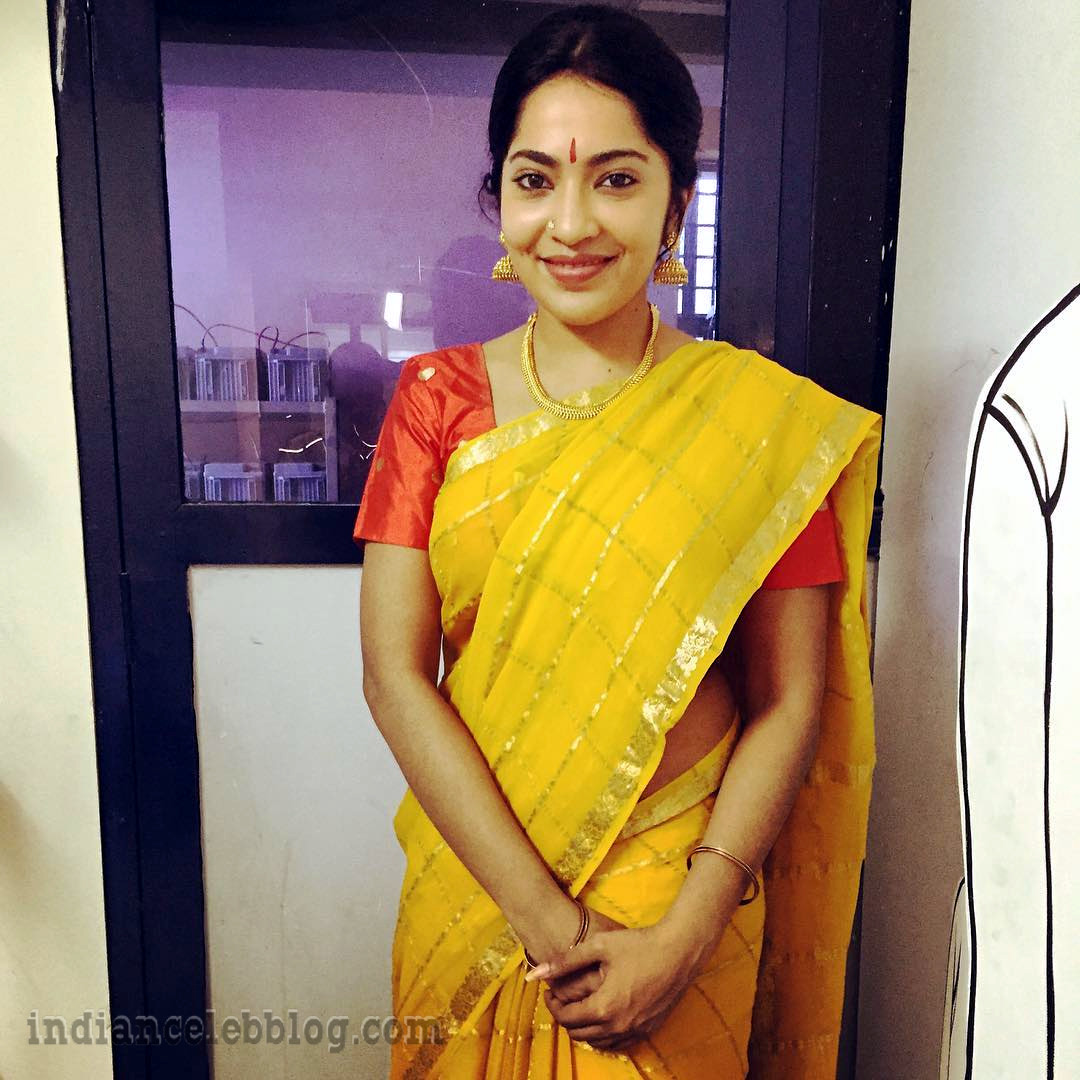 Ramya subramanian tamil tv anchor CTS2 9 saree photo – indiancelebblog
