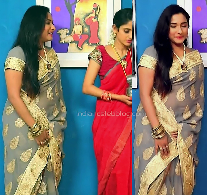 Ramya shankar roja tamil tv serial S2 11 sari caps – indiancelebblog