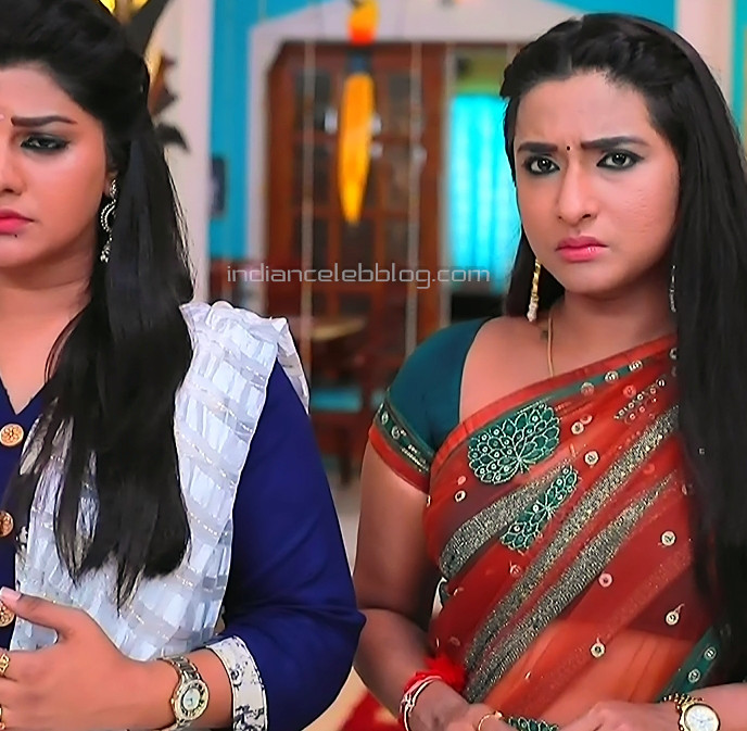 Ramya shankar roja tamil tv serial S2 3 sari caps – indiancelebblog