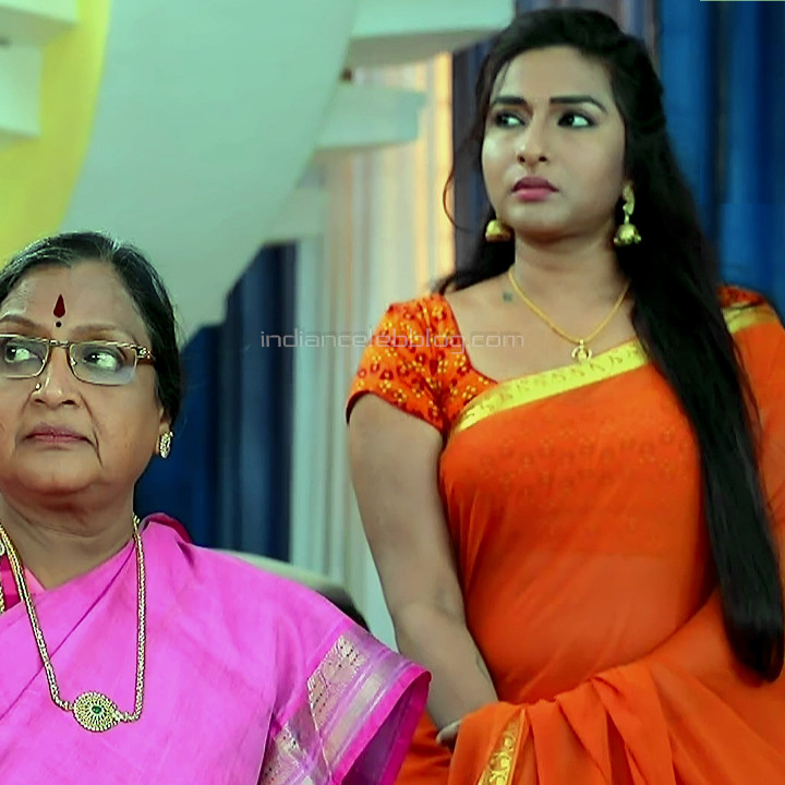 Ramya shankar roja tamil tv serial S2 7 sari caps – indiancelebblog