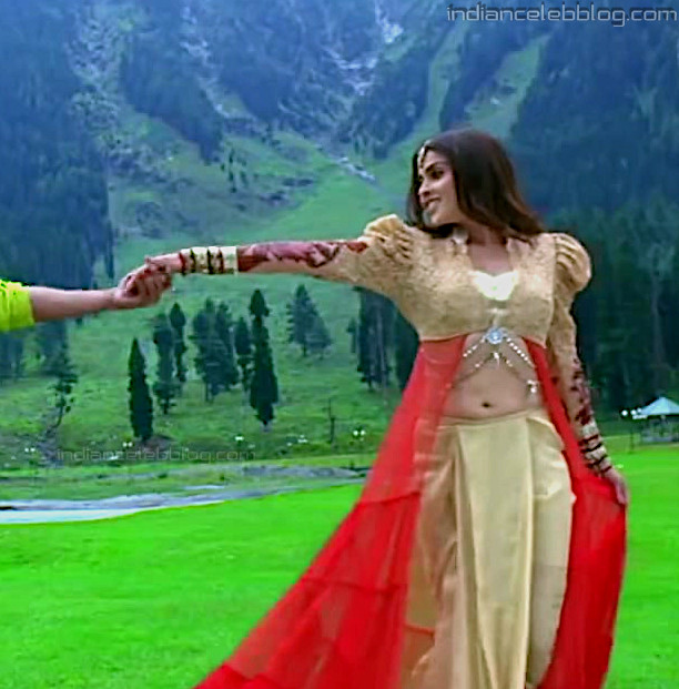 Genelia dsouza tamil movie velayudham 4 hot navel hd caps – indiancelebblog
