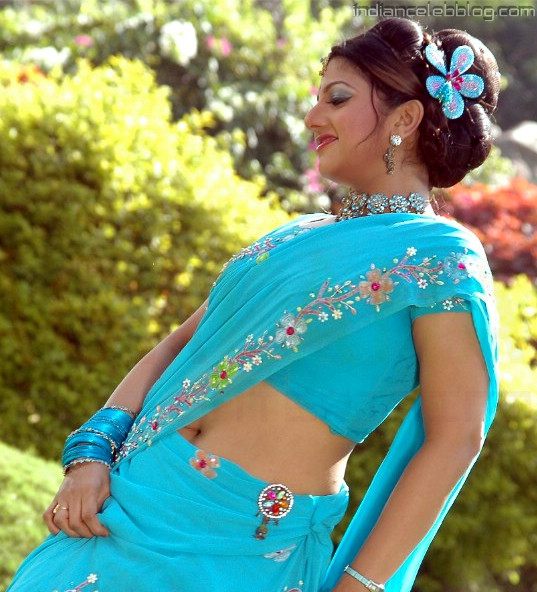 Rambha tamil actress ms9 hot saree navel stills – indiancelebblog