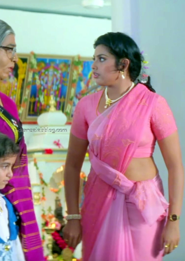 Meena avvai shanmugi 3 tamil hot saree midriff hd caps – indiancelebblog