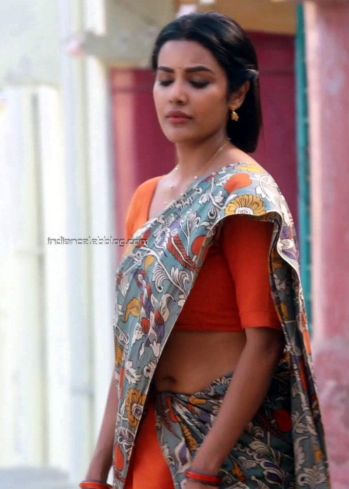 Priya anand maa neella tank 7 hot saree navel hd caps – indiancelebblog