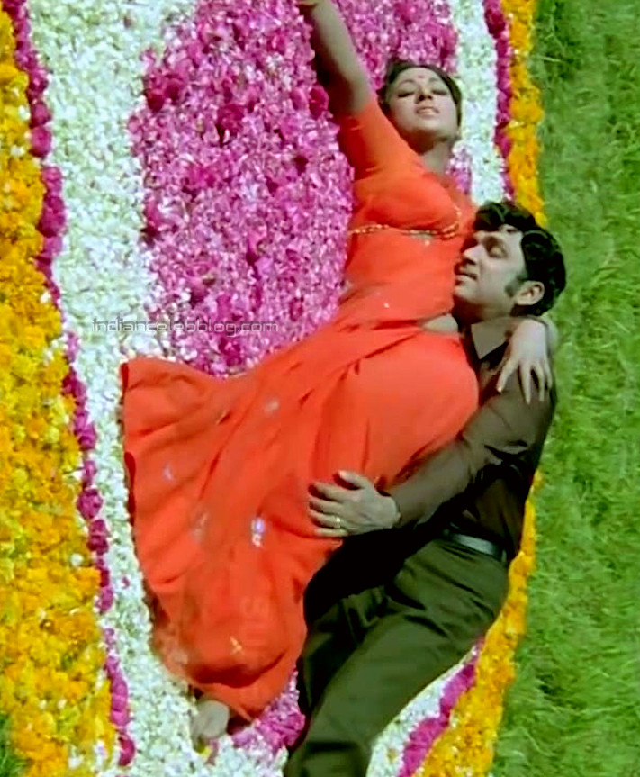 Vanisri telugu chilipi krishnudu 13 hot saree romance hd caps ...
