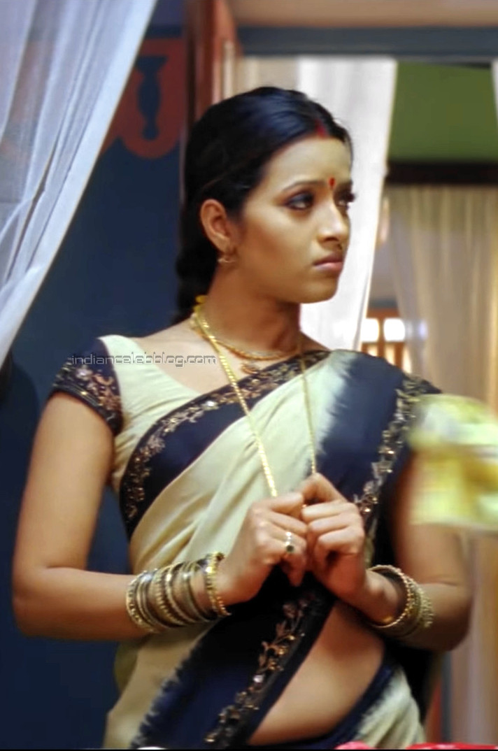 Reema sen chellamae tamil movie 11 vishal hot saree hd stills ...