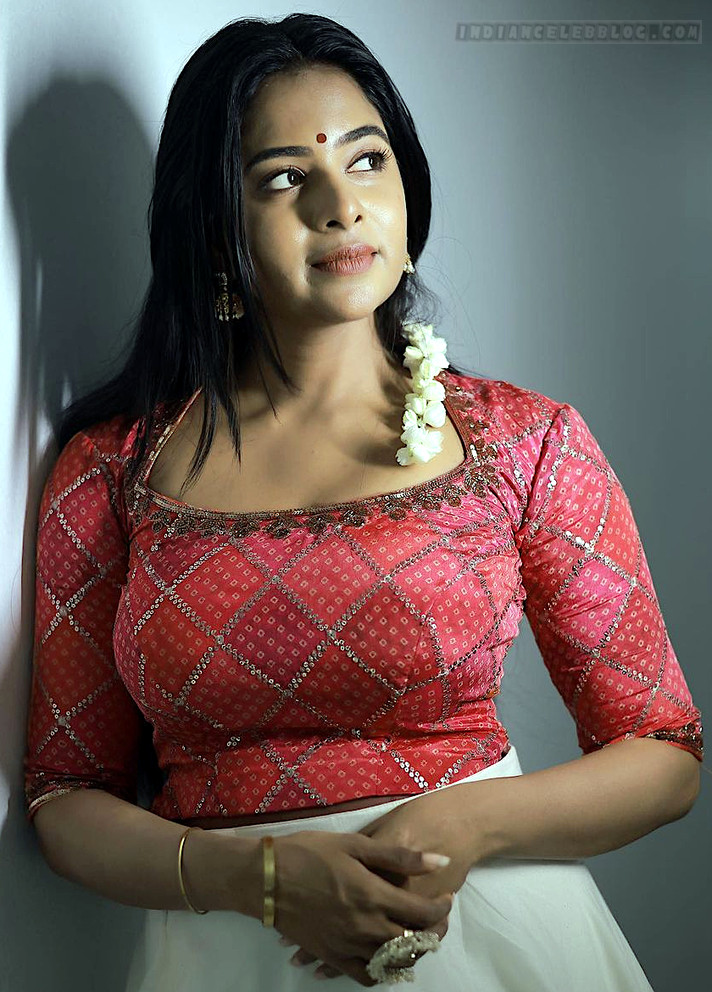 Renu soundar mallu actress 2 hot hd stills – indiancelebblog
