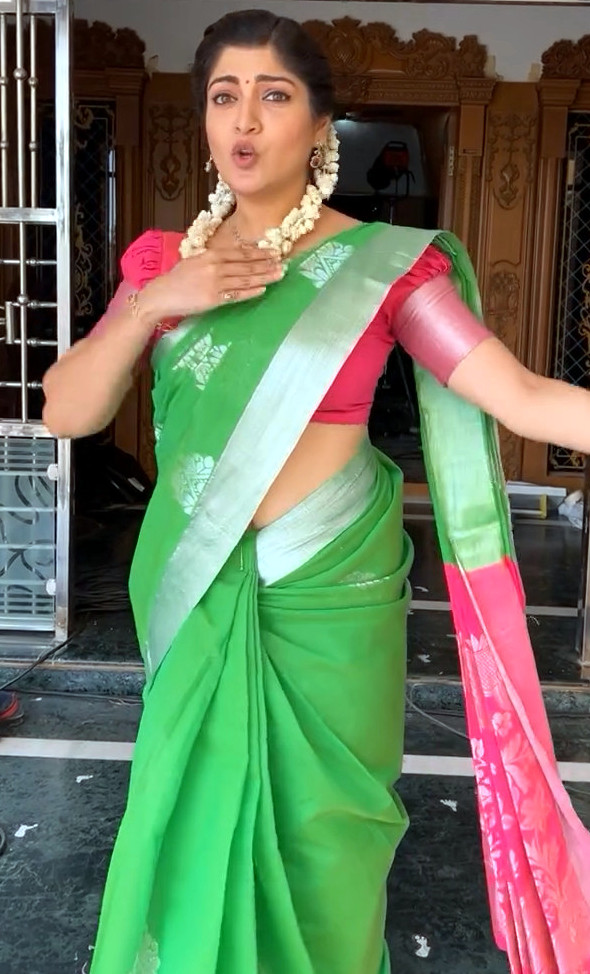 Papri gosh tamil tv actress m1x16 saree social media dance reel ...