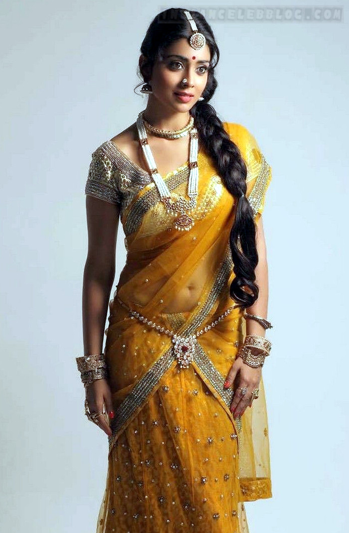 Shriya saran chandra movie s1x10 saree navel hd stills – indiancelebblog