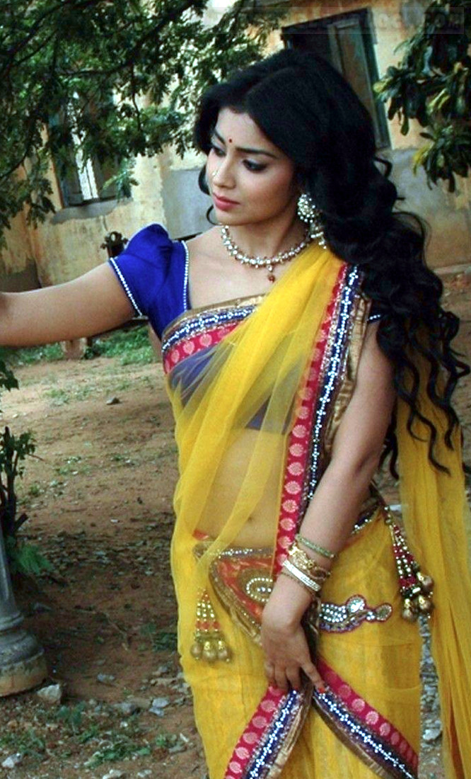 Shriya saran chandra movie s1x16 saree navel hd stills – indiancelebblog