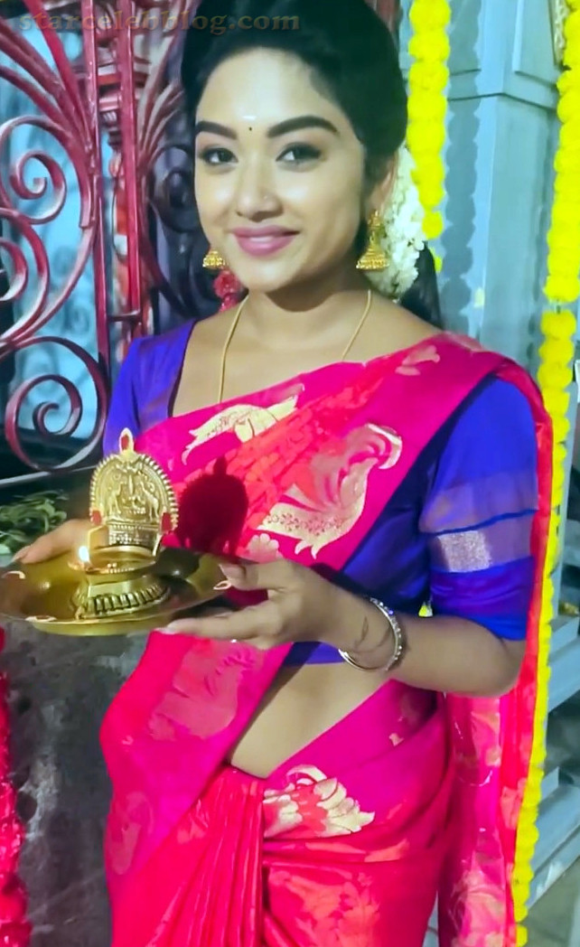 Preethi sharma s3x14 hot saree midriff photo shoot chithi – indiancelebblog