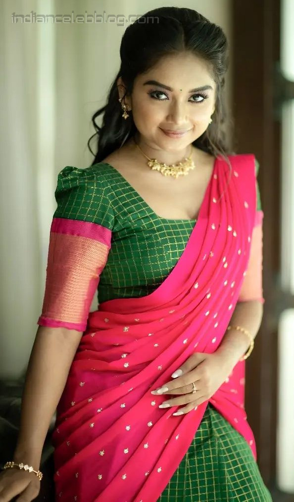 Preeti sharma tamil tv serial s2x24 saree photo shoot – indiancelebblog
