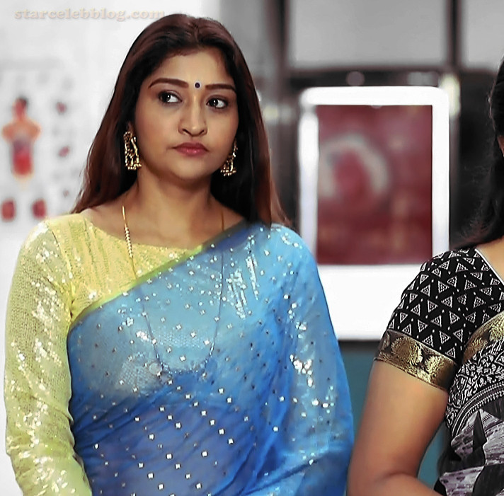 Neelima rani ass2x13 transparent saree hd caps – indiancelebblog