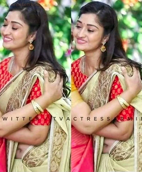 Neelima rani ass2x17 saree navel hd caps tv celeb – indiancelebblog