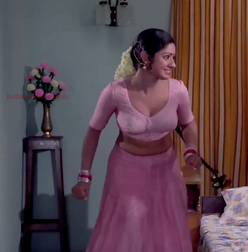 Sridevi scm1x16 Kaksha telugu saree strip hd photo – indiancelebblog