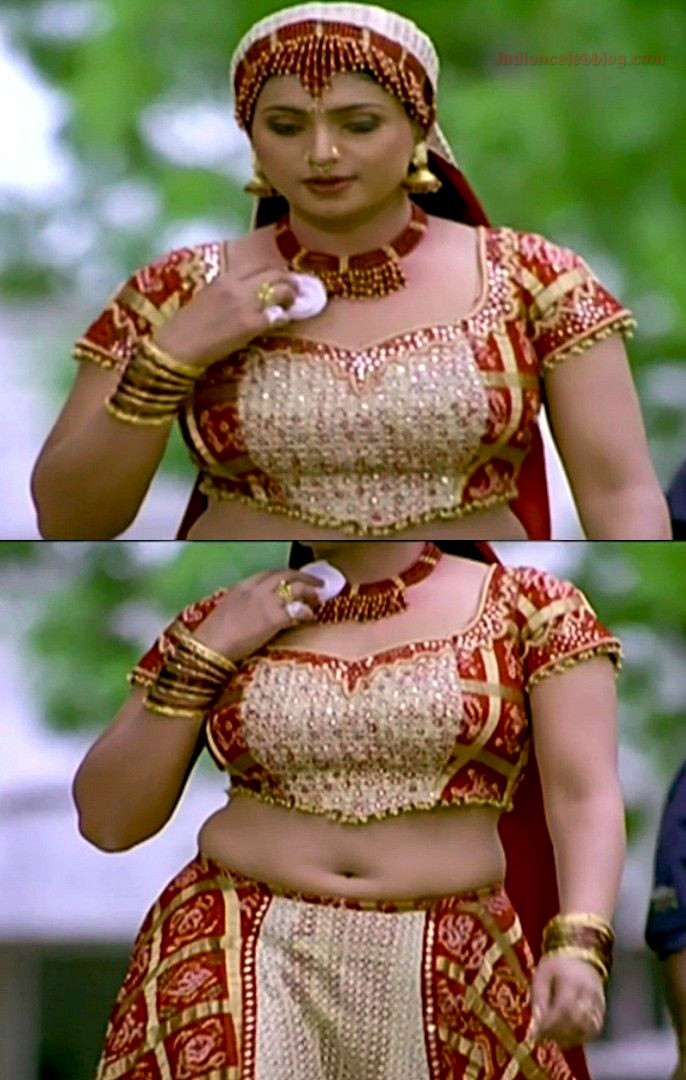 roja selvamani movie hd captures 10 navel traditional dress ...