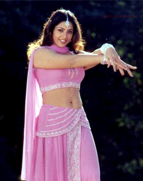 meena south indian actress 14 navel midriff dress hd stills ...